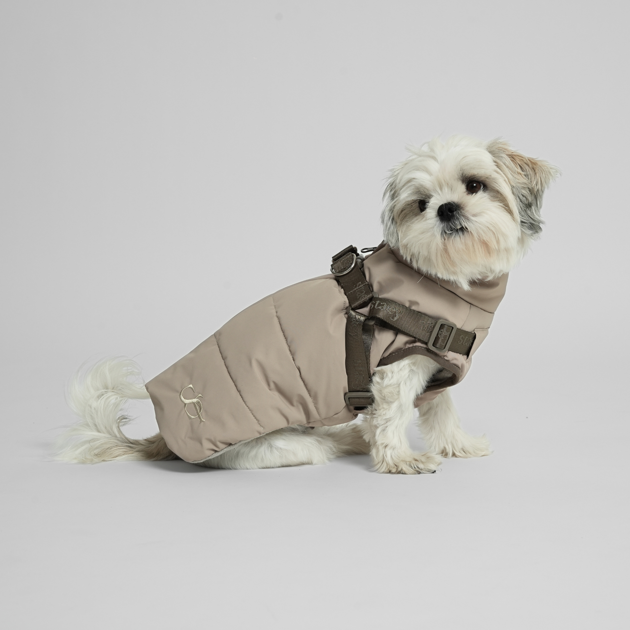 Staey - Dog equipment for the modern home