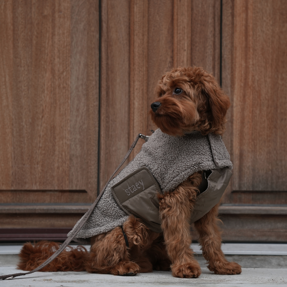 Staey - Dog equipment for the modern home