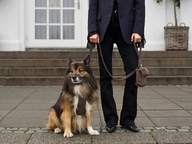 Staey - Dog equipment for the modern home