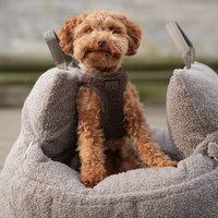 Staey - Dog equipment for the modern home