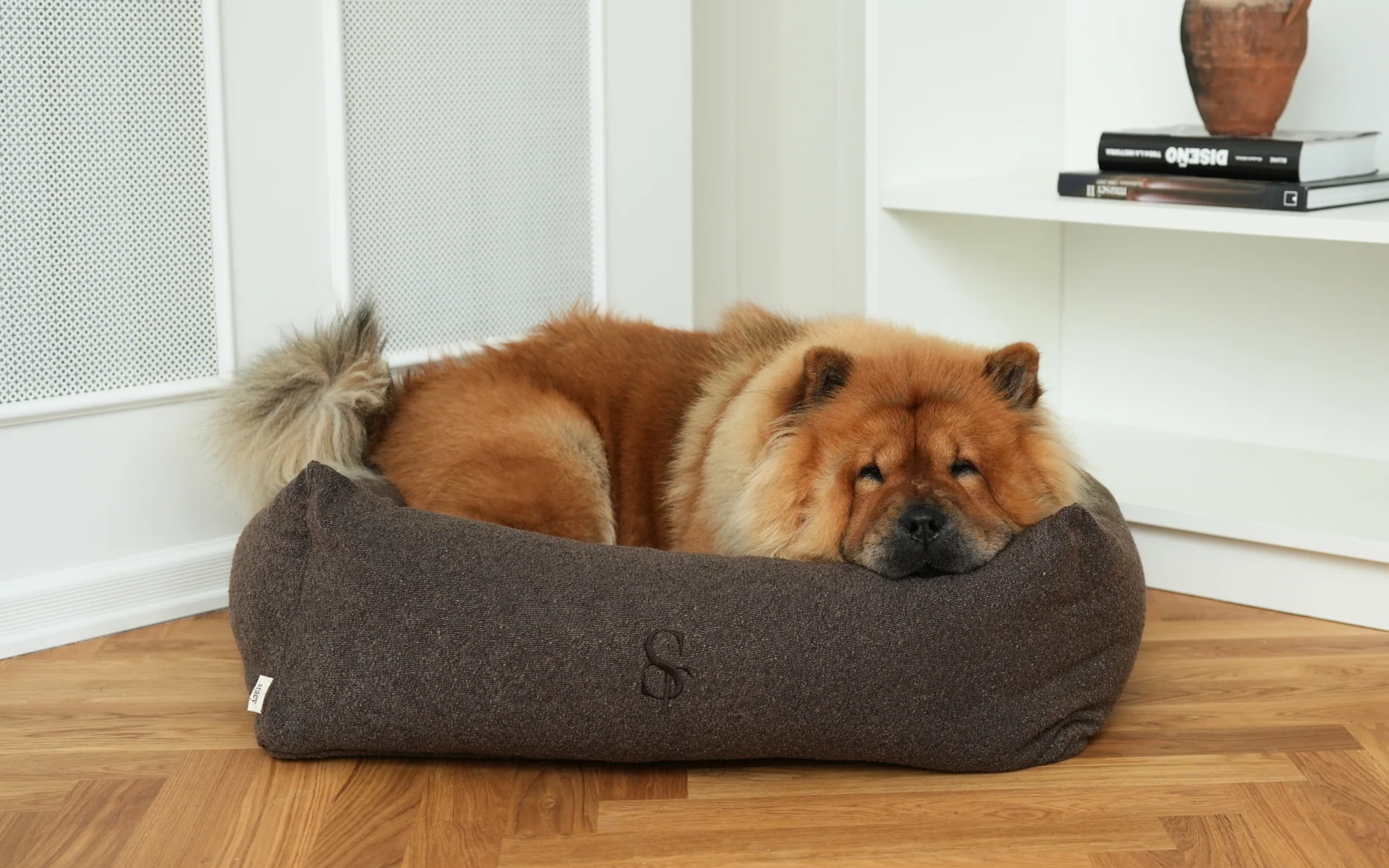 Staey - Dog equipment for the modern home